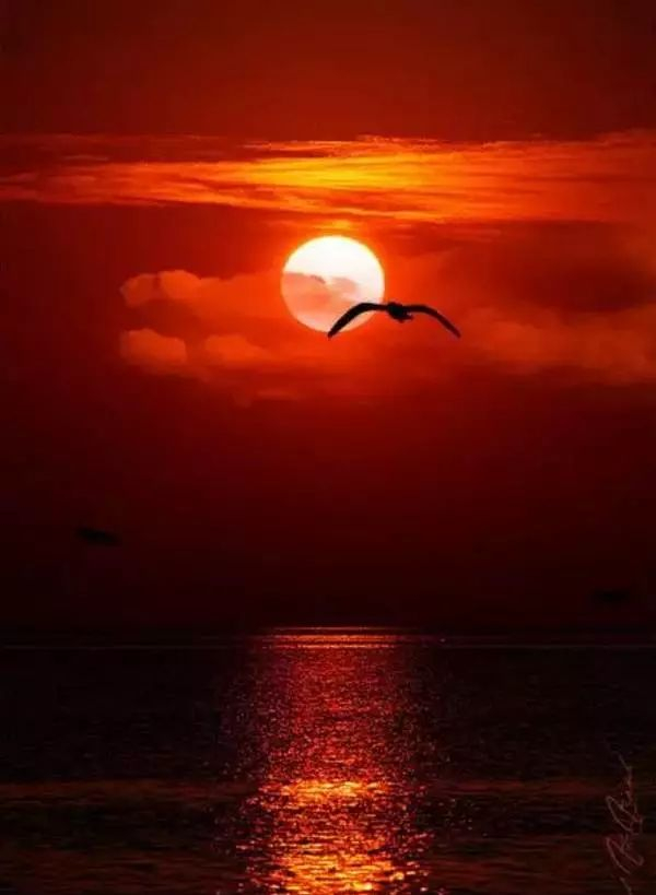 特别漂亮的手机风景壁纸，超级好看！