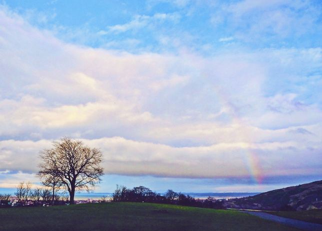 彩虹的景让人沉醉，各地各种不同的雨后彩虹呈现|彩虹|雨后|景色_新浪新闻
