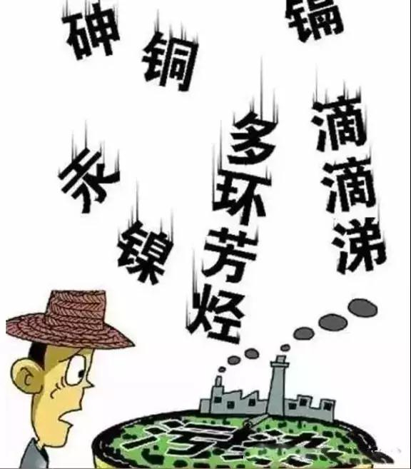 重金属污染是什么？会对人体健康造成什么伤害？