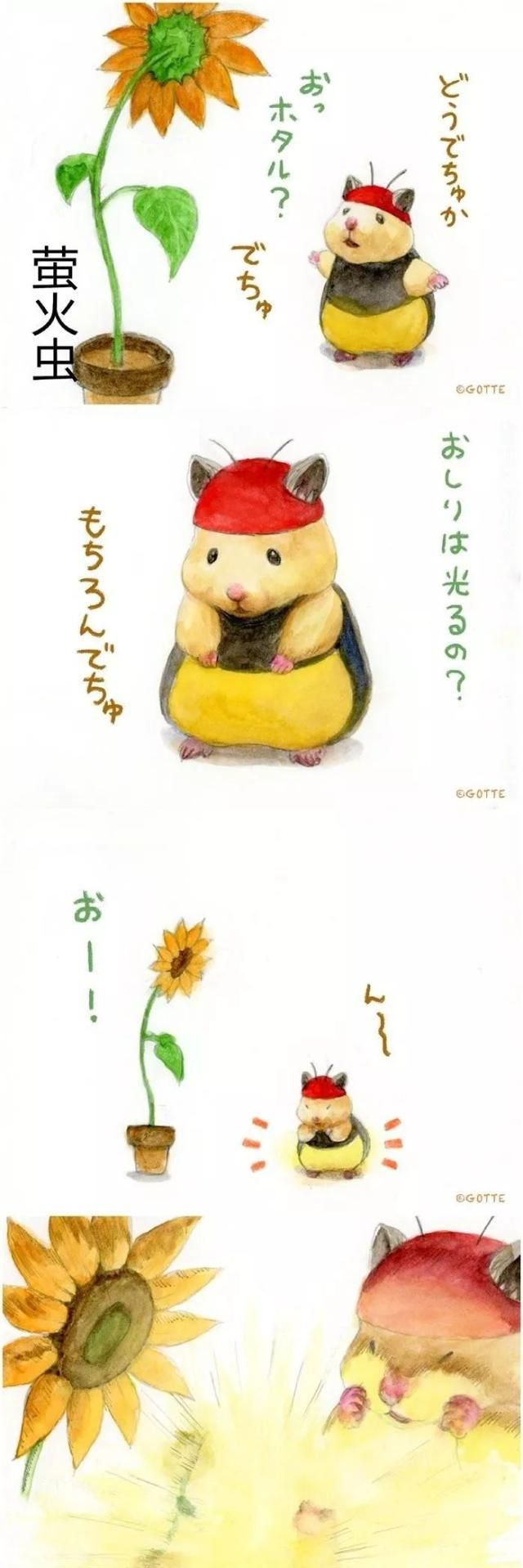 画师GOTTE的金丝熊日常系列，这是什么人间小可爱！