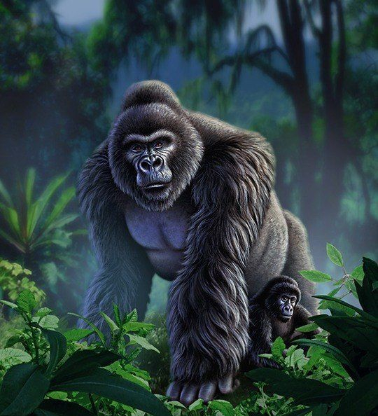 LOFARO幻想与现实交织的彩色灵感插画