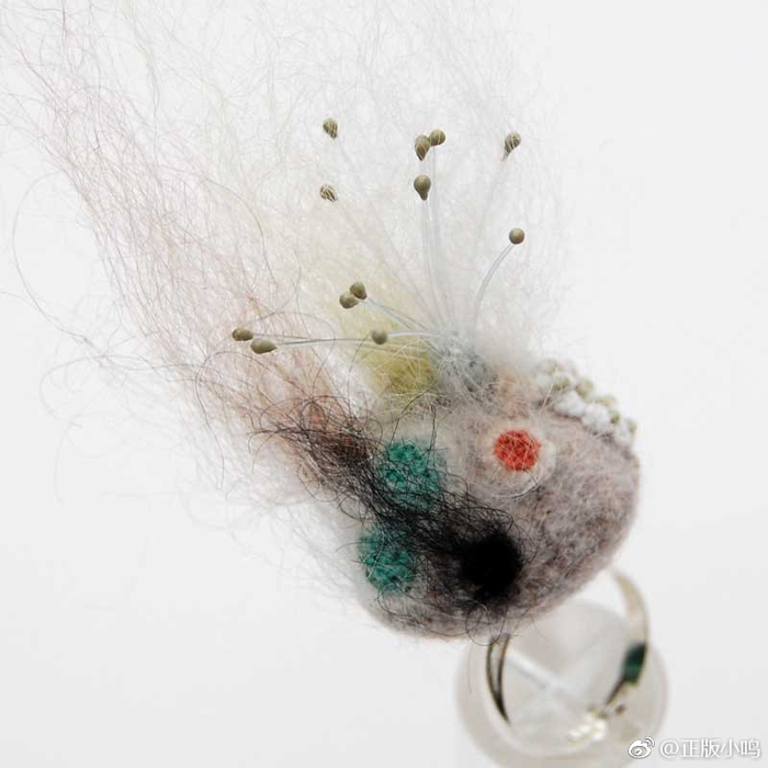 Elin Thomas以发霉的培养皿为灵感