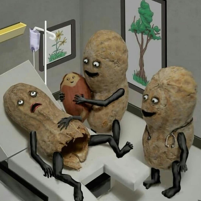 花生上的艺术 | 艺术家David Mishra