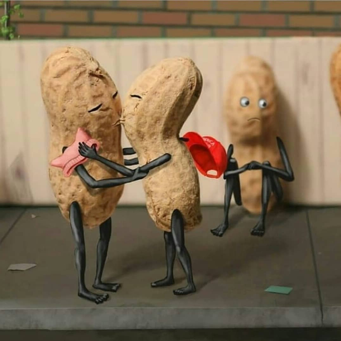 花生上的艺术 | 艺术家David Mishra