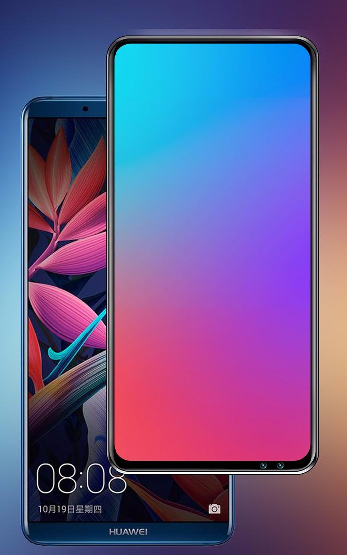 无刘海，概念版OPPO R17，对比华为mate10__财经头条