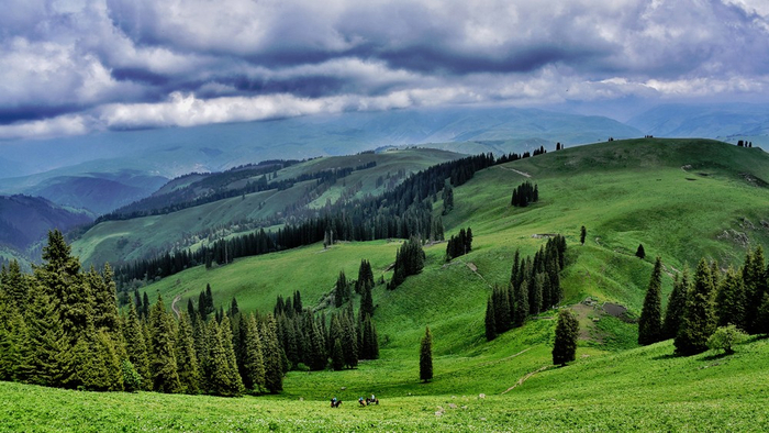 骑马穿越.那拉提空中草原.|空中草原|那拉提|一侧_新浪新闻
