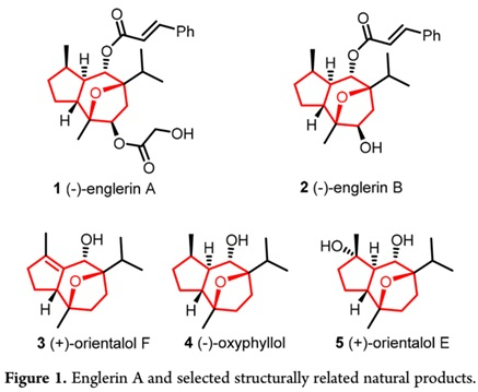 南开大学王忠文课题组EnglerinsA/B Orientalols E/F Oxyphyllol__财经头条__新浪财经