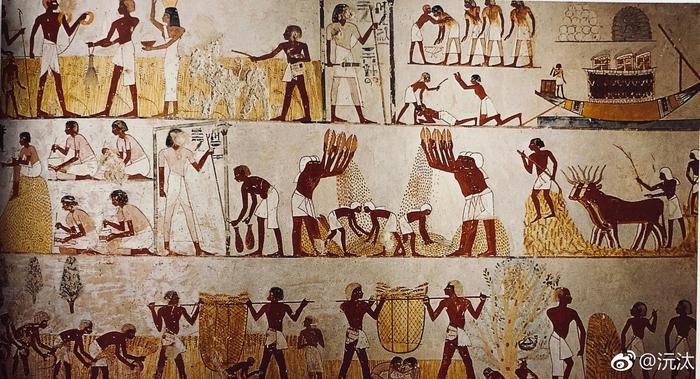 尼罗河缔造了古埃及的文明|尼罗河|上埃及|埃赫那吞_新浪新闻