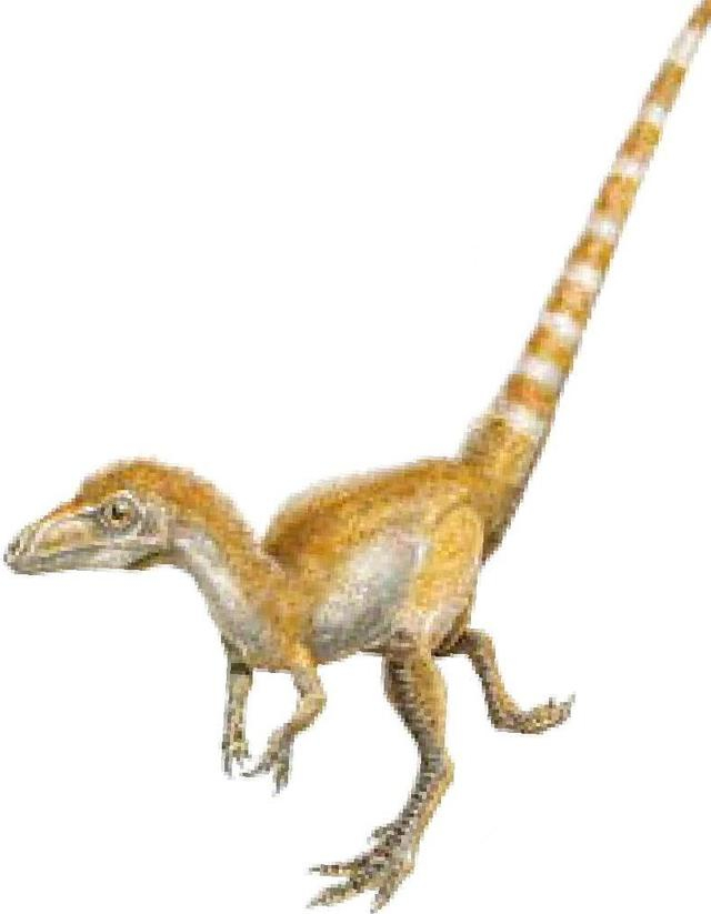 不是蜥蜴，也不是鳄鱼的庞大生物，到19世纪人们才发现它曾存在过|侏罗纪|恐龙|龙_新浪新闻