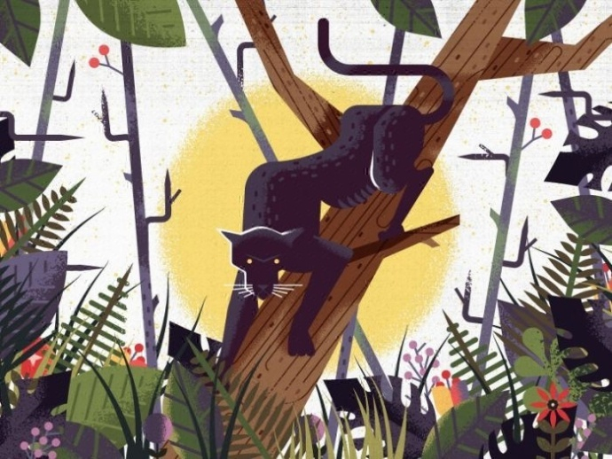 插画师兼平面设计师Matt Carlson