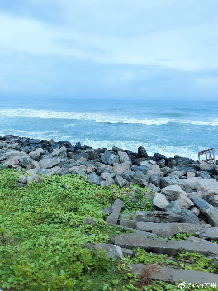 斯里兰卡 寻觅现实中的《千与千寻》海边小火车