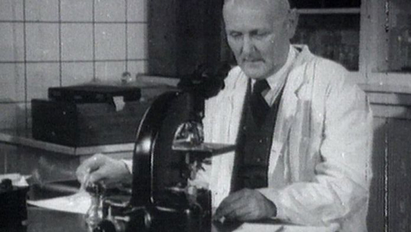 格哈德·多马克：救命的红色染料