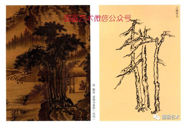 图文教程：松树的画法解析|松针|松树|松干_新浪新闻