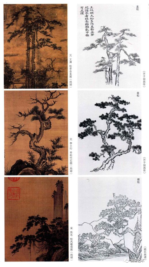 图文教程：松树的画法解析