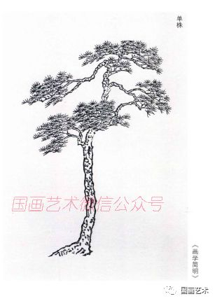 图文教程：松树的画法解析