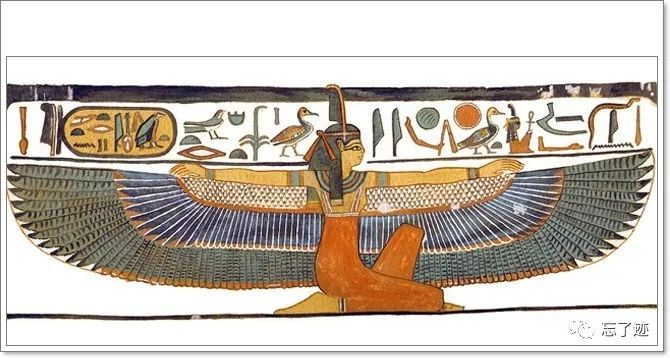 据说鸵鸟毛有替代真毛皮的打算，但我却不希望它火起来