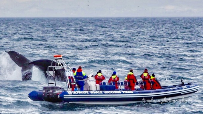 挪威“极光之城”特罗姆瑟，用3天时光带你打卡这些地方