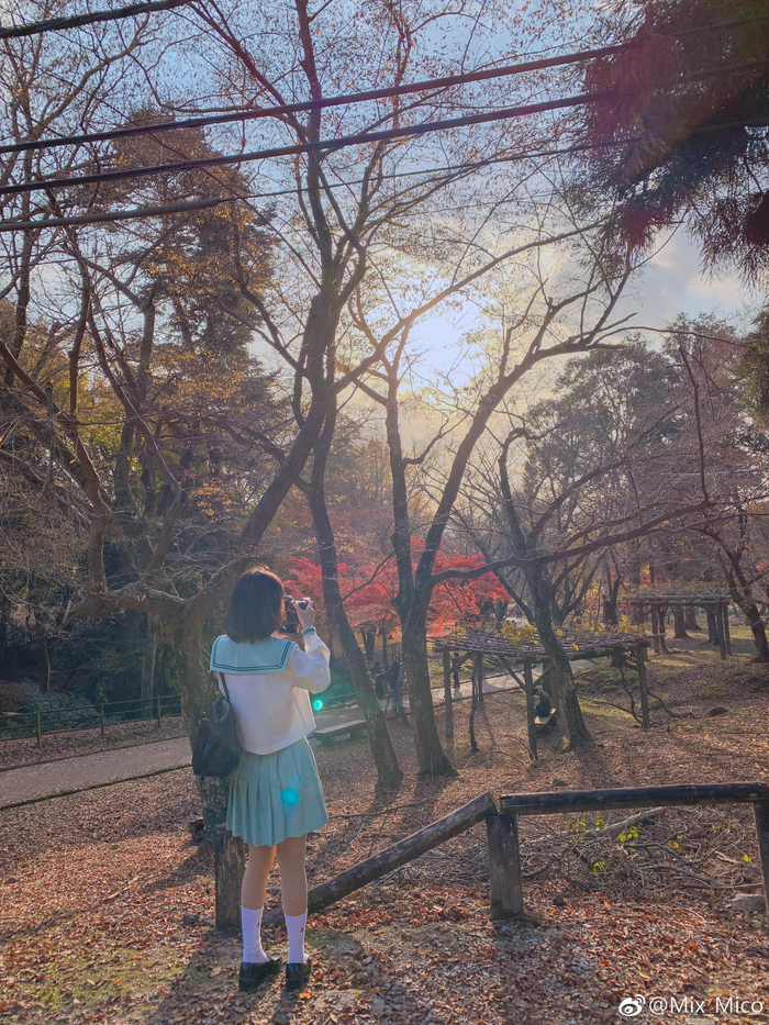《奈良秋光》💁🏻 ♀️：@Icey艾昔 📸：Mix_Mico