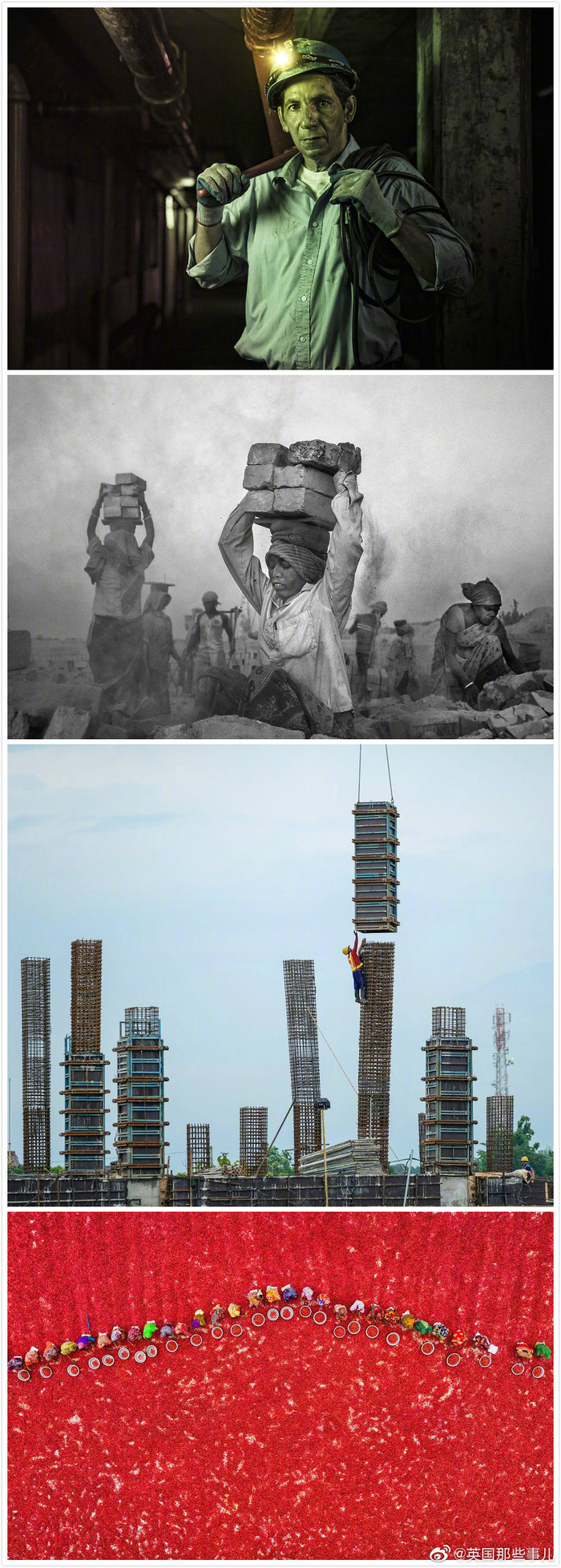 Agora Images Work2019 摄影大赛|画面|摄影师|工作_新浪新闻