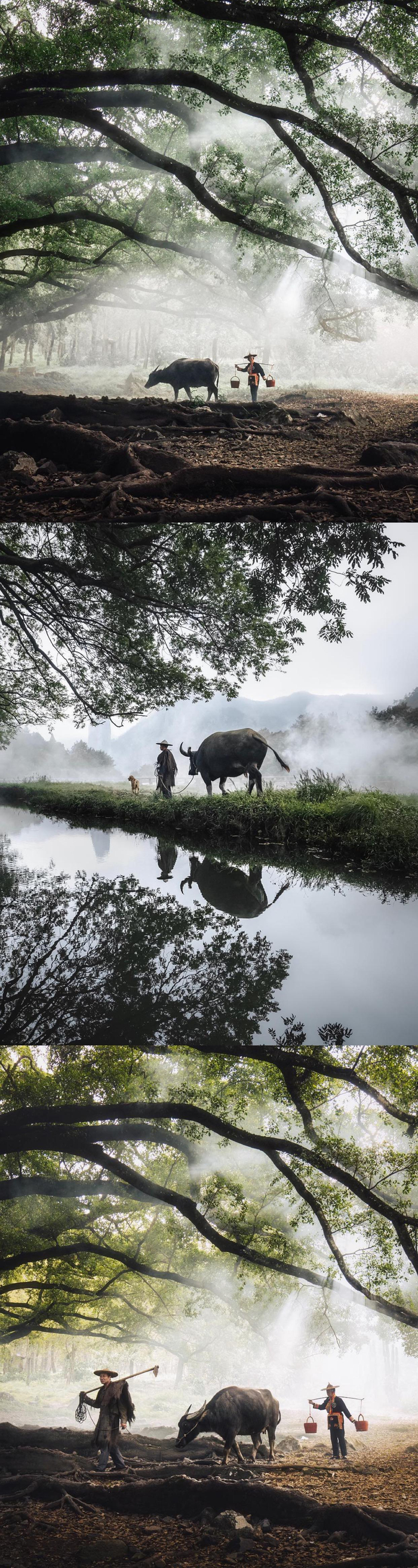 90后英国摄影师Jordan Hammond拍下的中国风景照。在他的镜头中