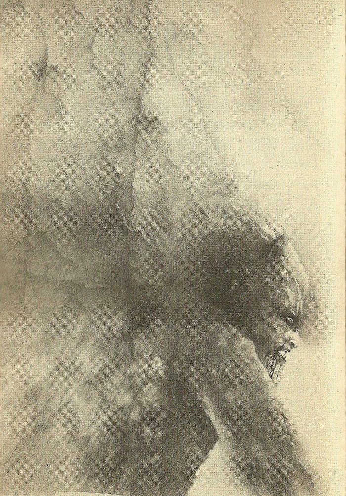 恐怖绘师Stephen Gammell为Georgess McHargue的系列作品《遇见狼人》