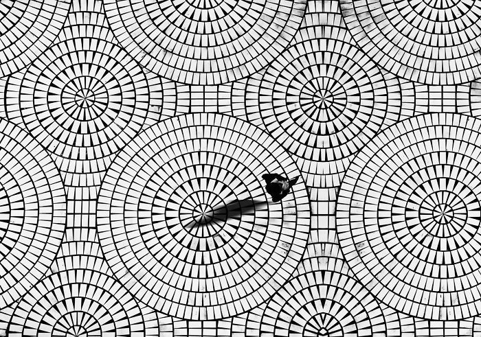 Helena Georgiou Photography