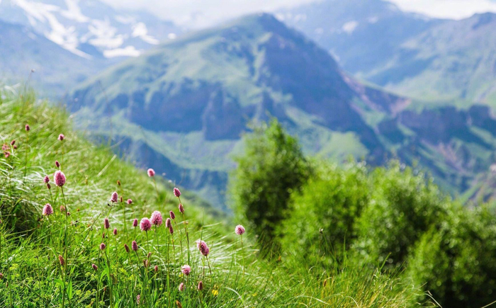 卡兹别克山丨格鲁吉亚的第三大高山，高加索的第七大高山|格鲁吉亚|大高山|卡兹_新浪新闻
