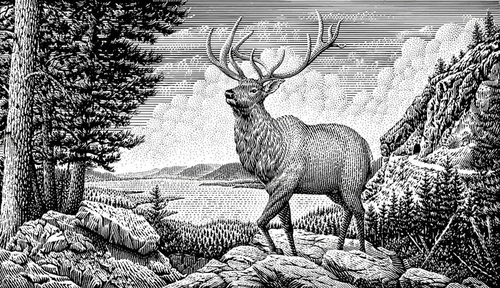 来自艺术家 Michael Halbert 作品www.inkart.com