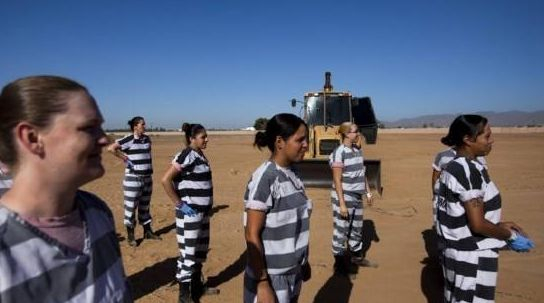 囚犯身上黑白条纹的囚衣，和斑马颜色类似，二者作用有何不同？|斑马|条纹|囚服_新浪新闻