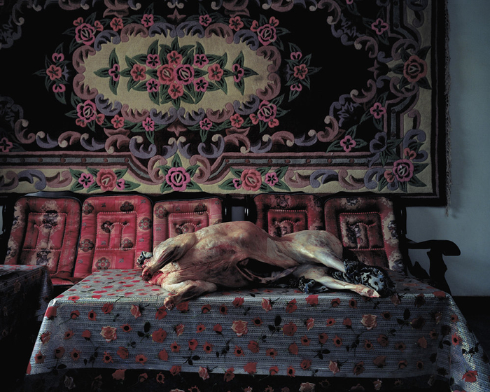 中国人家丨Robert Van Der Hilst