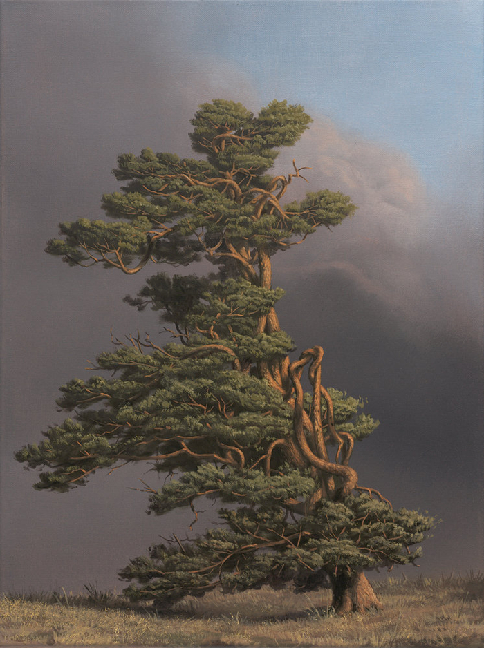 Markus Matthias Krüger Artist