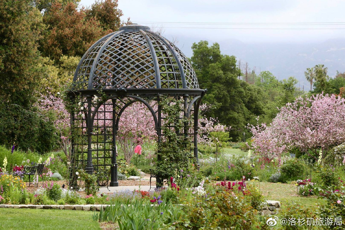 占地 160 英亩的德斯康索花园 (Descanso Gardens)最初是报纸大亨 Eli