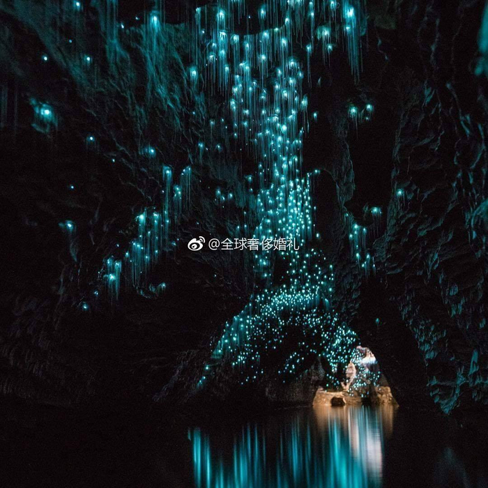 有着世界第九奇迹称号的Waitomo萤火虫洞，是到访新西兰必到的地方