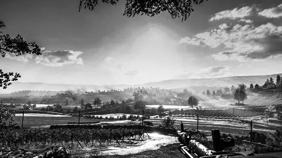 “1839摄影奖”：年轻一代如何用摄影回应时代？丨艺术观察