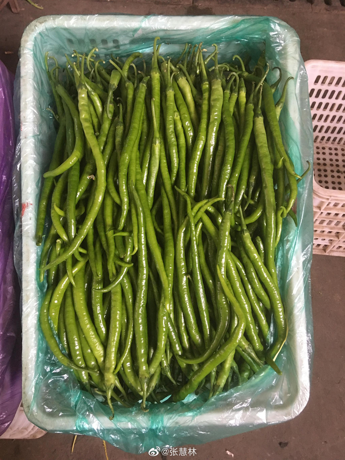 南京众彩今日蔬菜菜价|水芹|笋瓜|芦蒿_新浪新闻