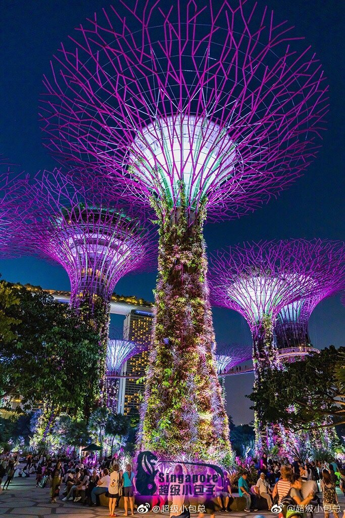 新加坡的夜景也非常赞！超级树在晚上绝有阿凡达世界的即视感