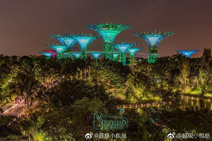 新加坡的夜景也非常赞！超级树在晚上绝有阿凡达世界的即视感