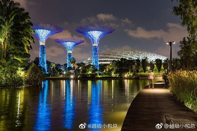 新加坡的夜景也非常赞！超级树在晚上绝有阿凡达世界的即视感
