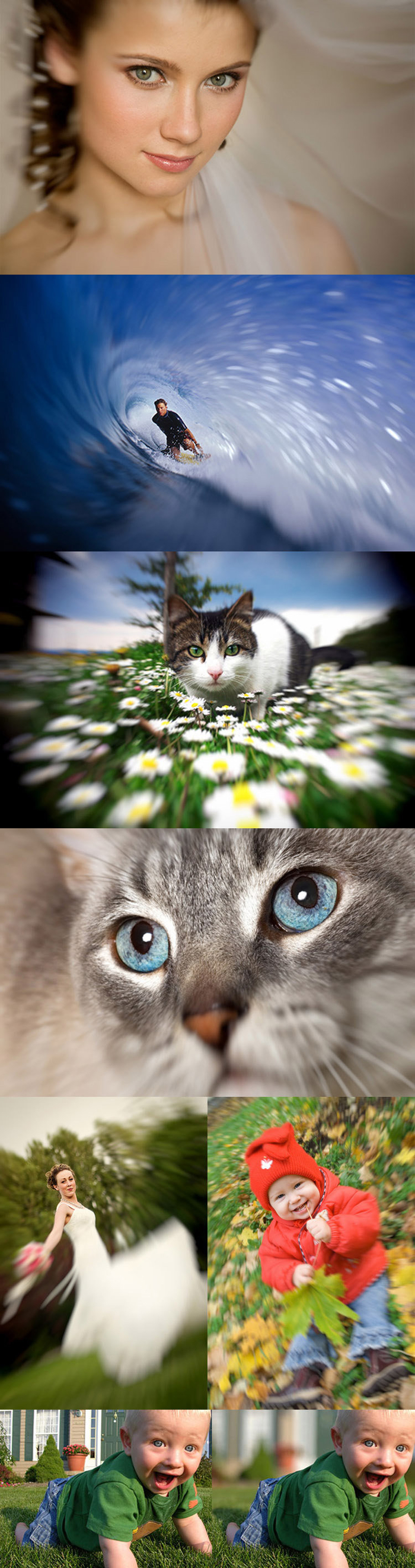 (PS景深模拟滤镜)Alien Skin Bokeh.V2.0.1.494破解版