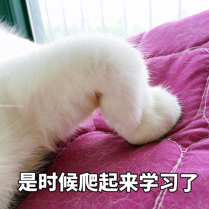 喵星人表情包566：书包…学习让我快乐！是时候爬起来学习了