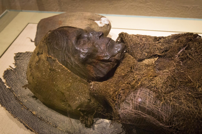 无水印大图特写，可以惠存|干尸|女尸|且末_新浪新闻