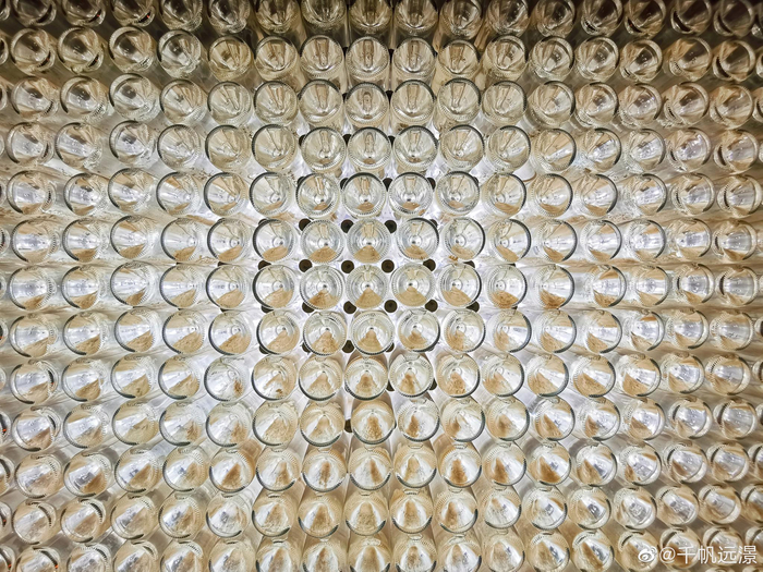 📷📷📷Champagne NICOLAS FEUILLATTE有着超过30年历史的Nico