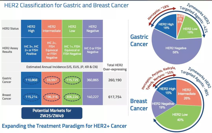百济神州手握中国开发权 ZW25获FDA快速通道资格