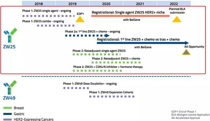 百济神州手握中国开发权 ZW25获FDA快速通道资格