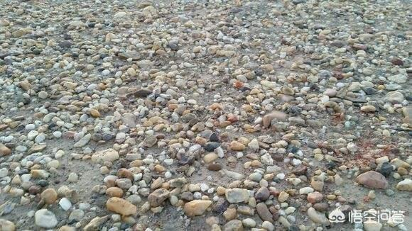 新疆为什么那么多戈壁滩呢？以前是大海吗？