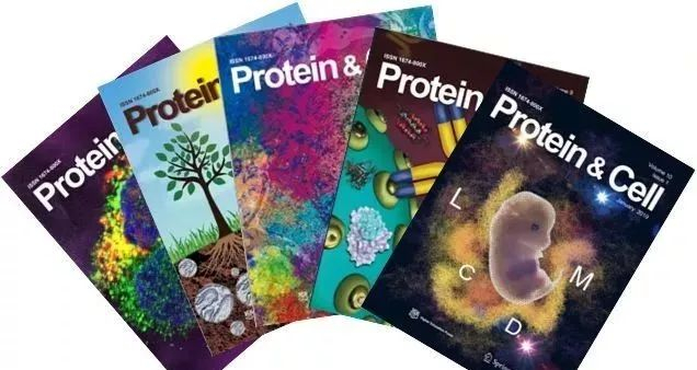 难得优秀的5分+国产期刊：Protein & Cell__财经头条__新浪财经