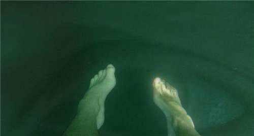 测测你有没有深海恐惧症：十张深海照片，你能坚持看几张？|深海|恐惧症|大海|海洋|人类_新浪新闻