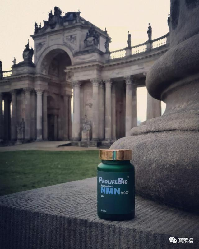 NMN十问｜关于NMN，你想知道的都在这了