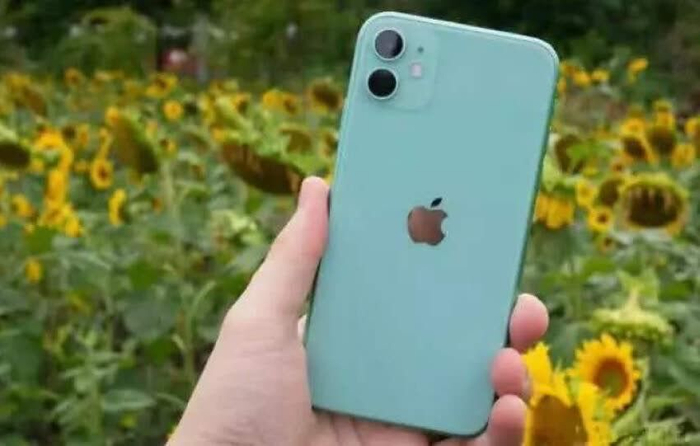 iPhone 11自营终于降400元，苹果A13+iOS13，最受欢迎苹果手机__财经头条__新浪财经