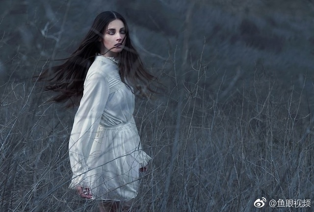 Alex Stoddard 是一位年仅17岁，才华横溢的天才少年